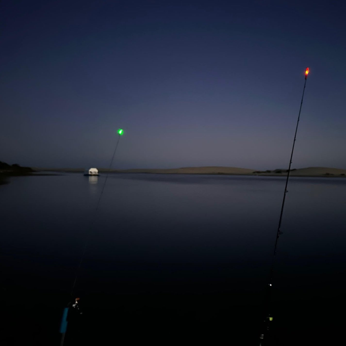 Rod tip light – Tidal Hook